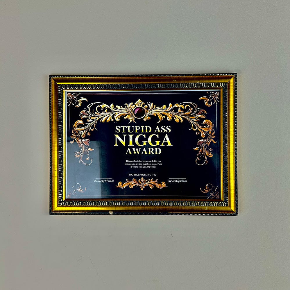 Stupid A** N**ga Award – The N Pass